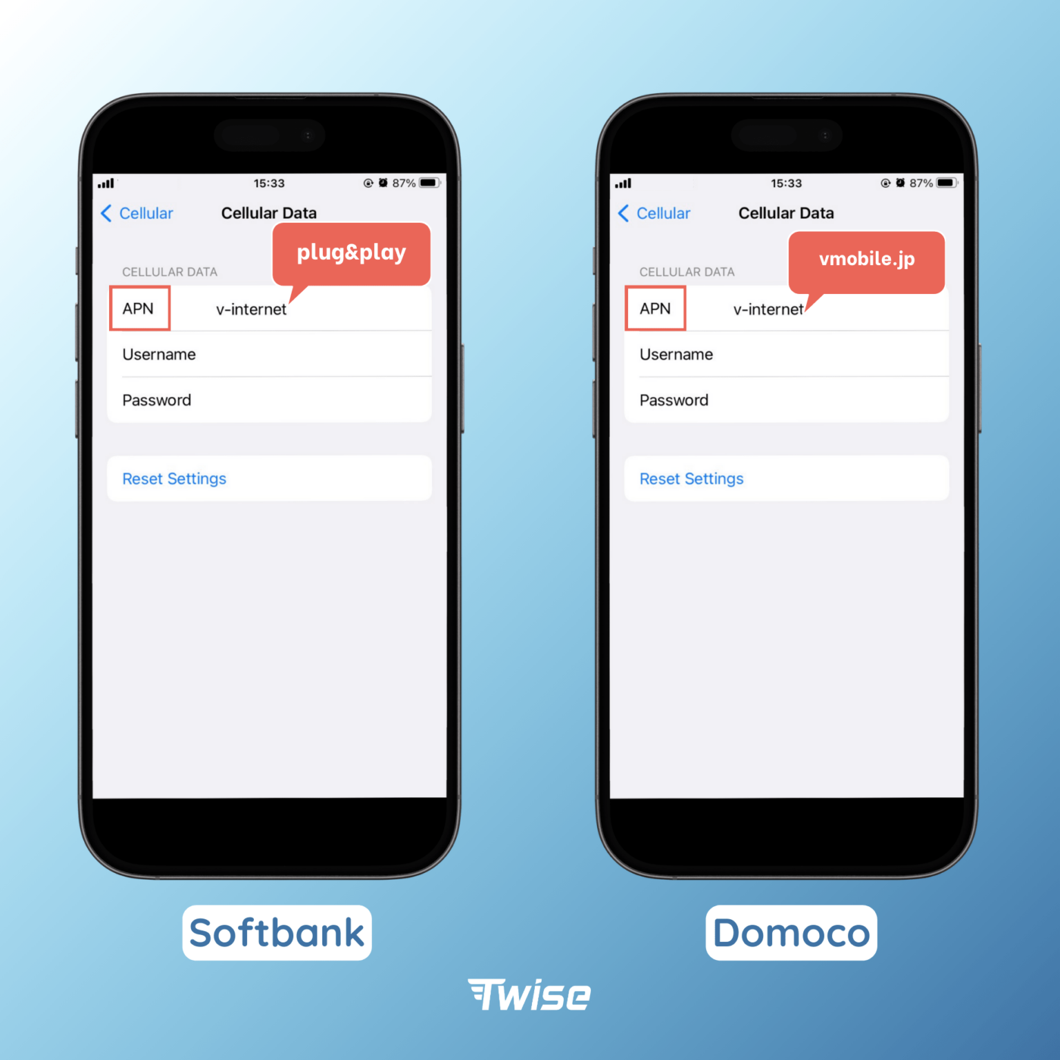 APN settings iOS: A Step-by-step guide -Twise