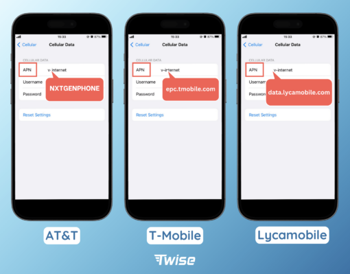 APN settings iOS: A Step-by-step guide -Twise