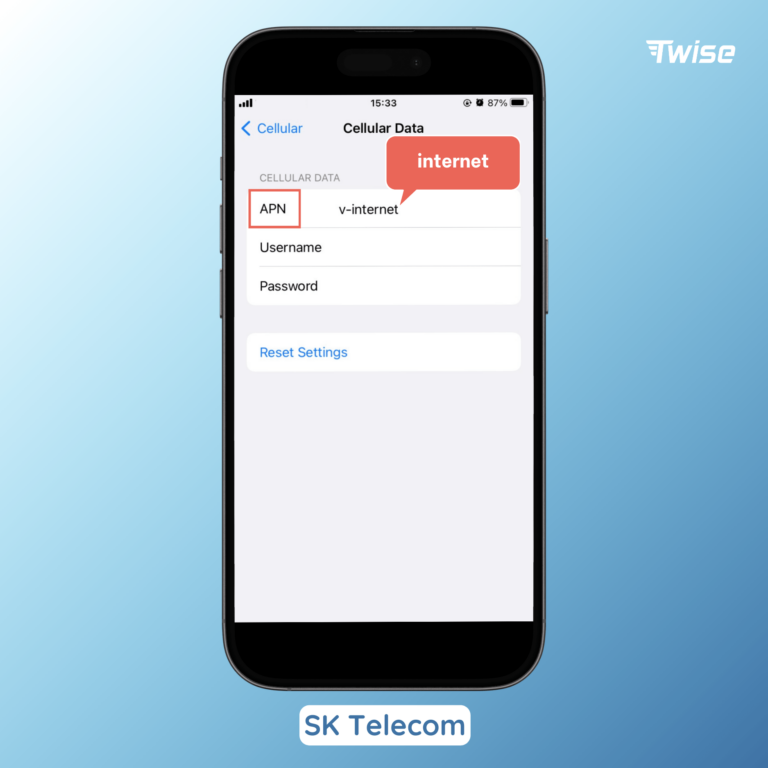 APN settings iOS: A Step-by-step guide -Twise