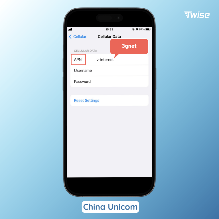 APN settings iOS: A Step-by-step guide -Twise