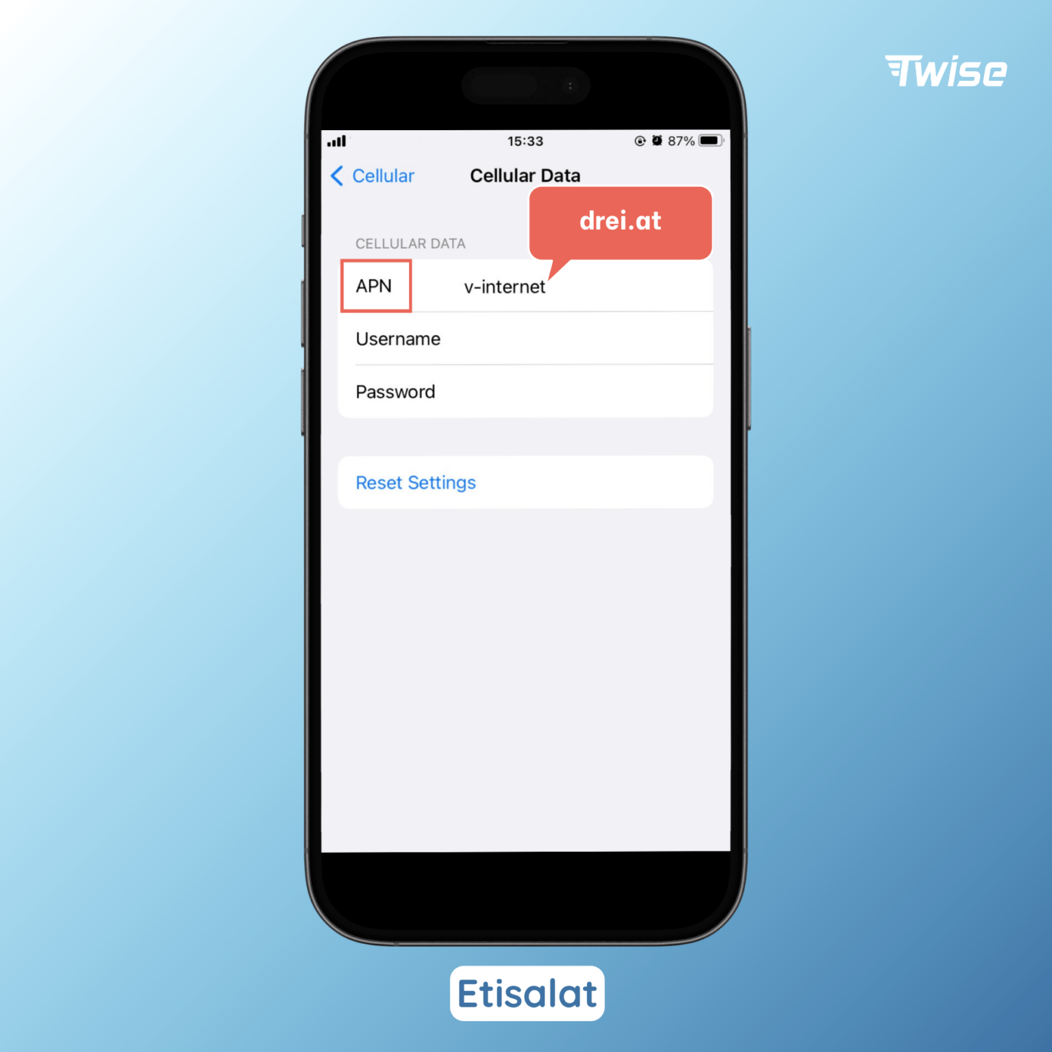 APN settings iOS: A Step-by-step guide -Twise